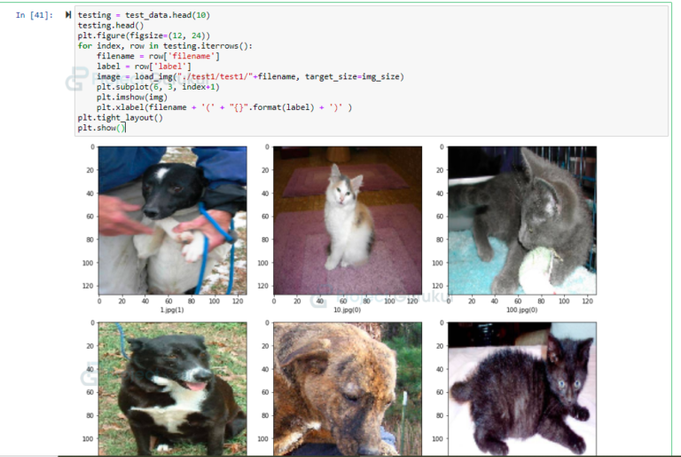 Cats and Dogs Classification using Deep Learning - Project Gurukul